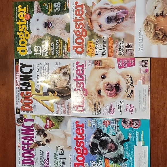 Other | 6 Issues Dogster Magazine | Poshmark